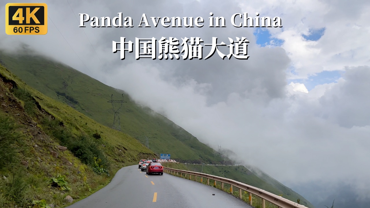行驶在中国熊猫大道最美路段-从四姑娘山至卧龙镇-4K