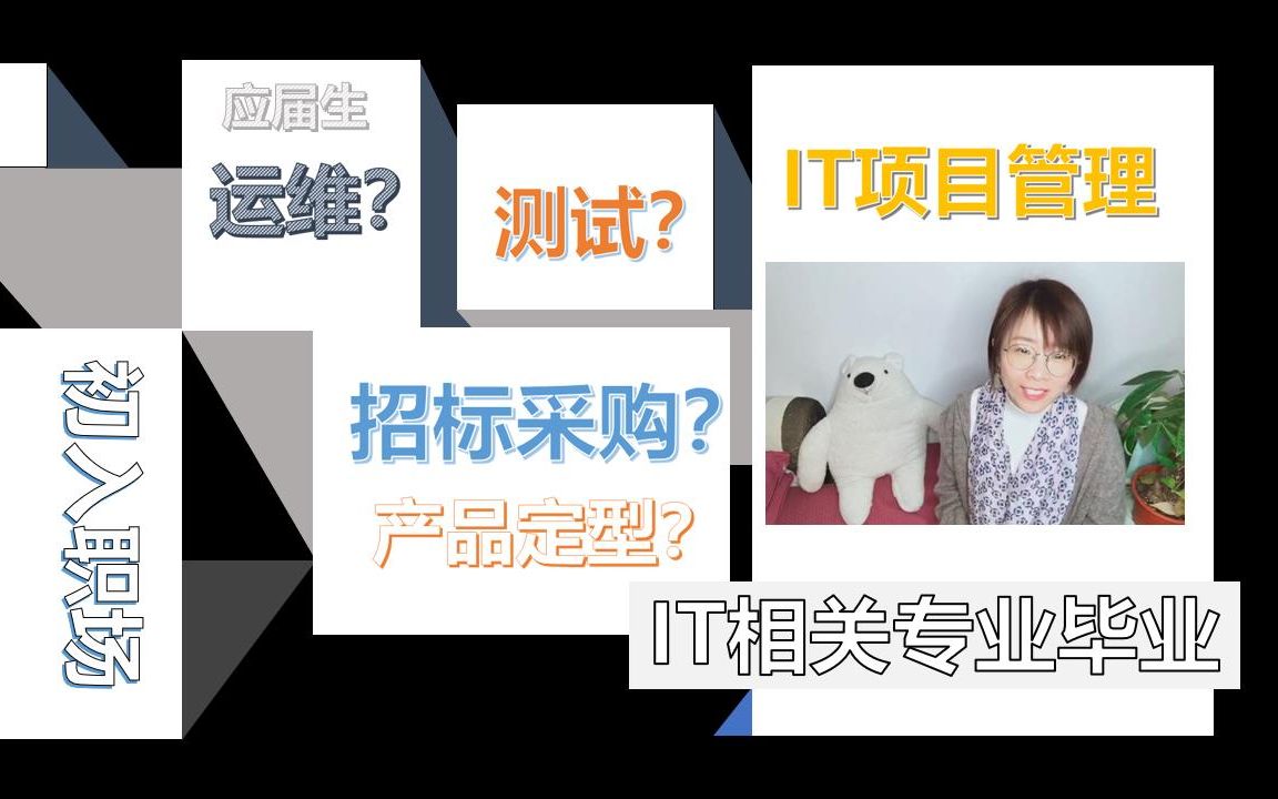 【职业介绍 - 甲方程序员 项目经理 】IT相关专业毕业做什么工作/TMT...