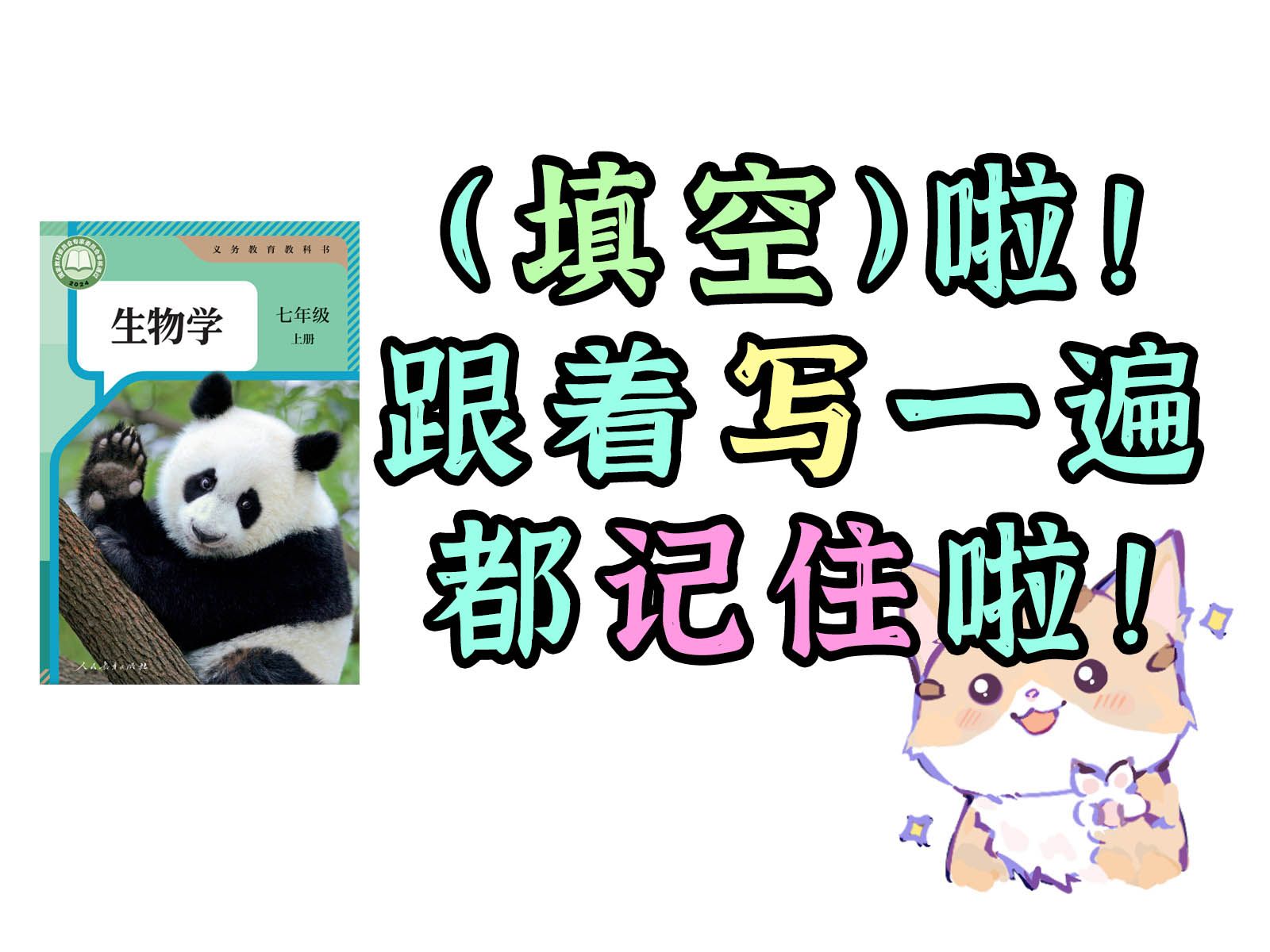 一起写一遍 全都记住啦!生物七上 期末复习