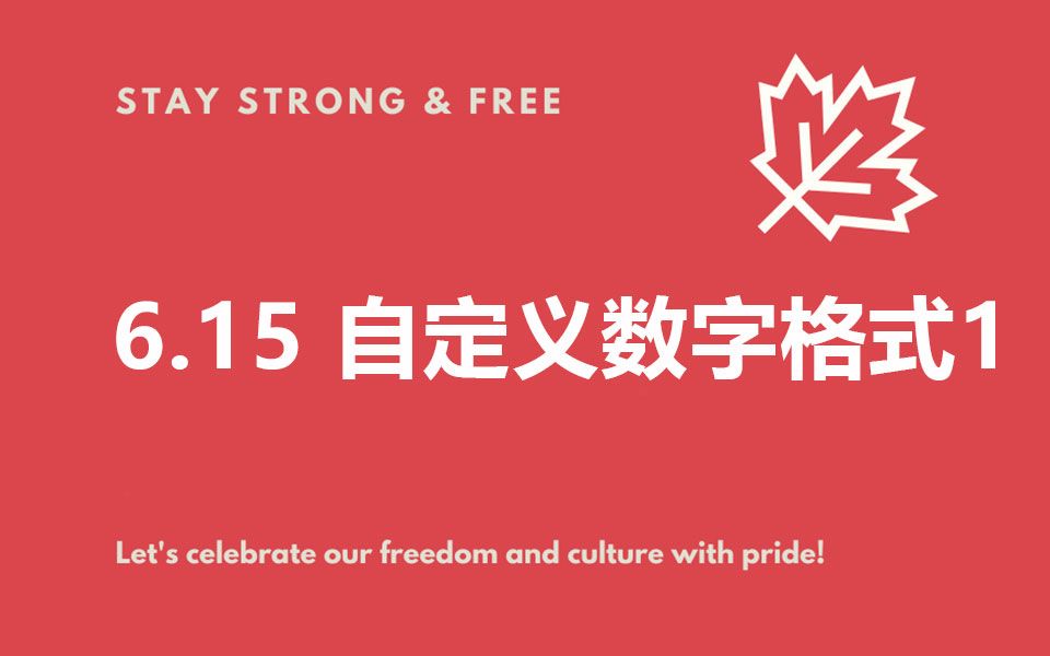 6.15 自定义数字格式1
