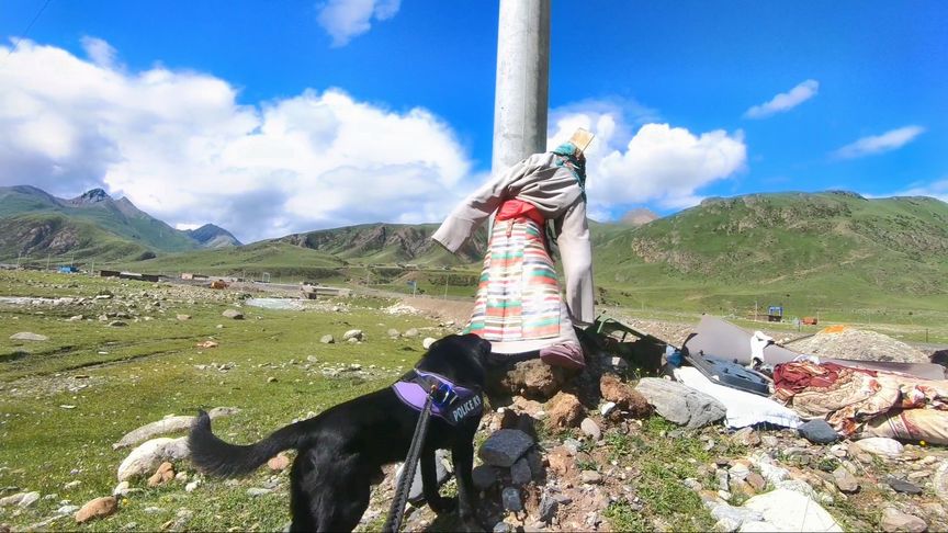西藏路边的稻草人,把小伙吓一大跳,今天终于弄明白什么寓意了
