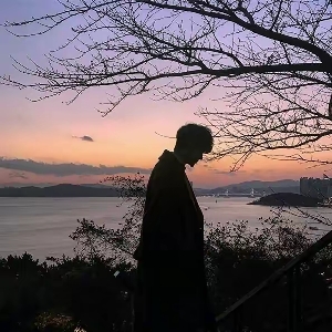 小郑追剧 