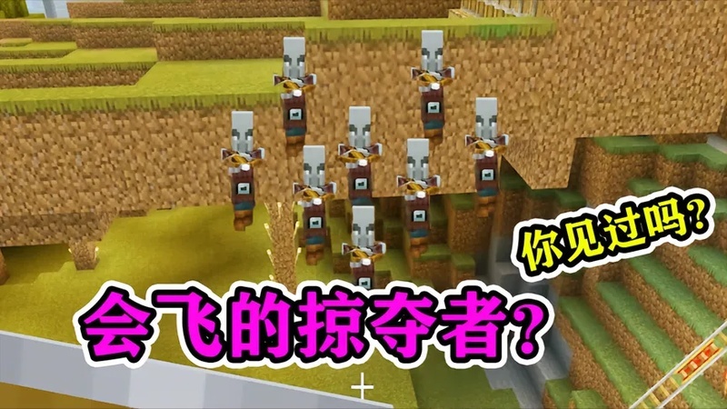 我的世界生存日记91:掠夺者都会飞了就是不给我灾厄BUFF.