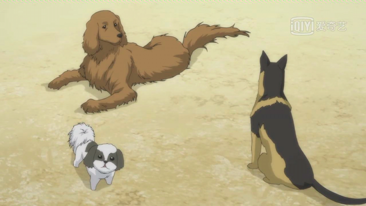 织田肉桂信长:无聊过头了我,我到底打开了一个什么沙雕动漫哈哈哈...