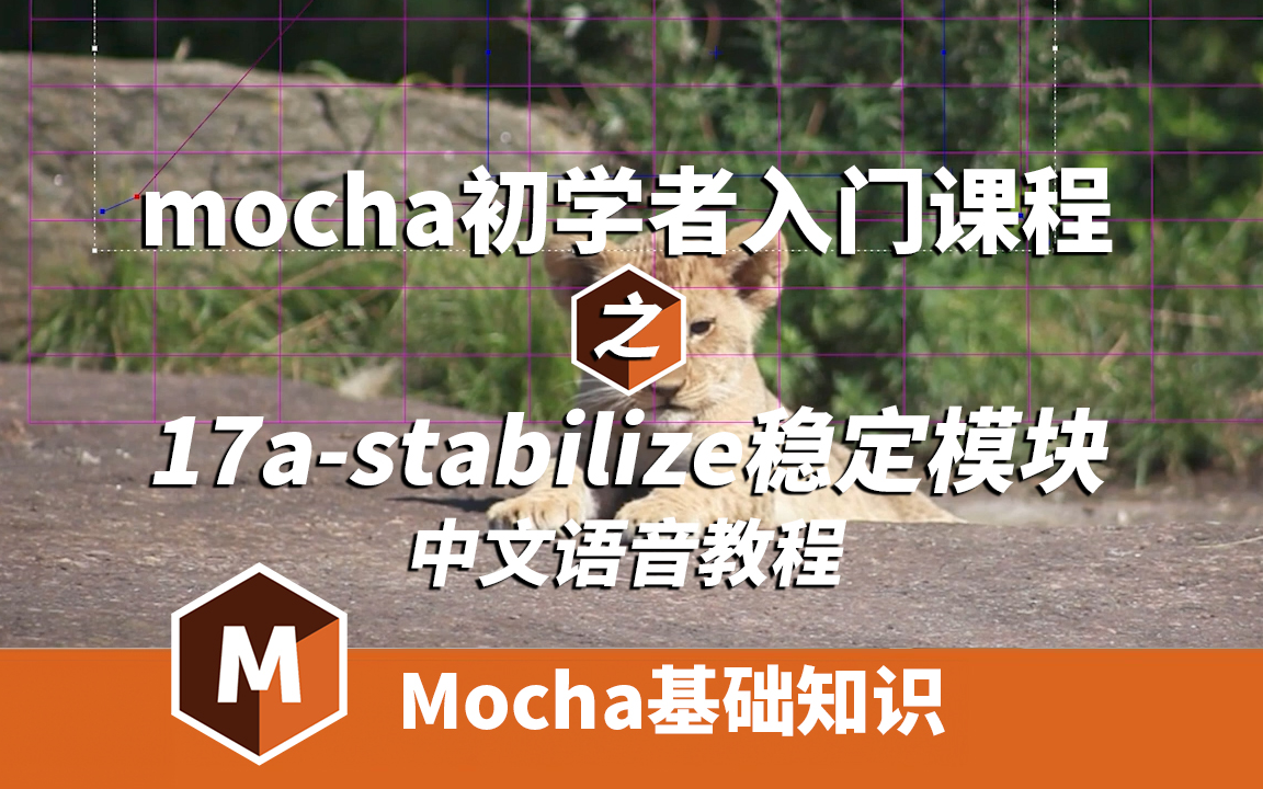 AE教程-17a-mocha稳定模块