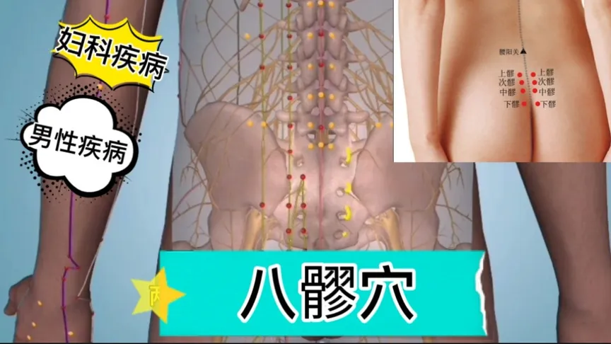 八髎穴调理妇科疾病及男性疾病 每天只需5分钟搓热八髎穴,效果好