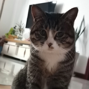 酒儿妈 