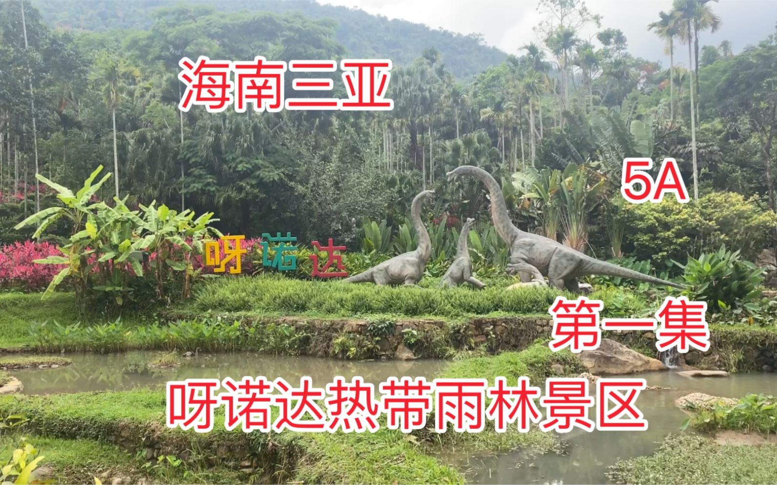 海南-三亚 呀诺达热带雨林景区 第一集 千年夫妻榕 肉桂 苦丁茶 桄榔 ...