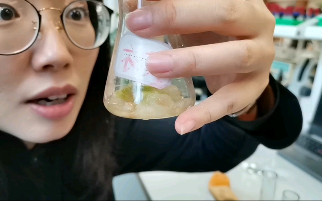 如何巧用碘液与淀粉检测VC含量?