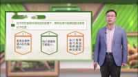 22 9.1 BLUP育种值估计上.ts