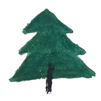 直树电影工作室 