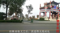 农民砍伐“自家”的树,到底合不合法?看看《森林法》怎么规定的