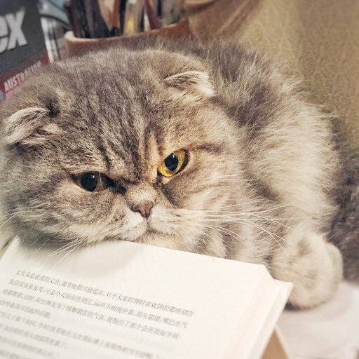 波姐好吃懒做 