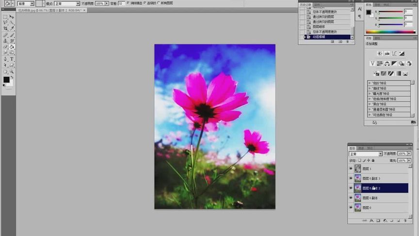 photoshop实用教程33课,花卉的综合处理技巧想学PS的小白看看吧