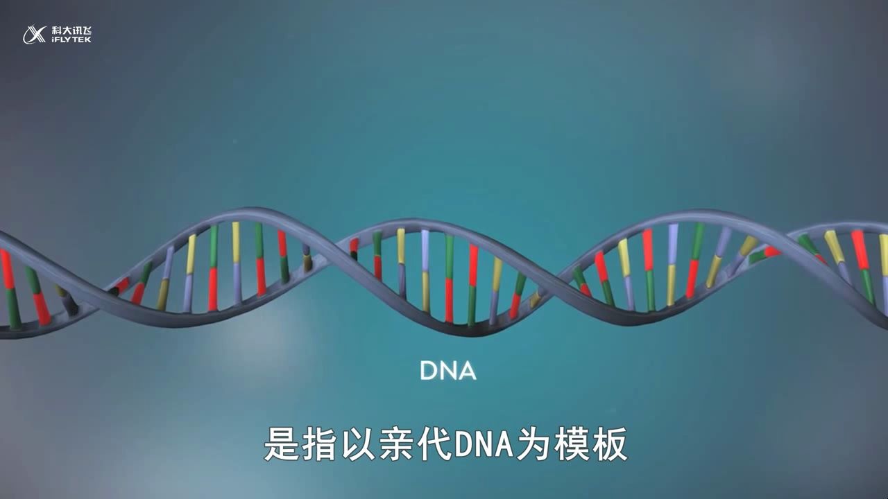 DNA复制的过程