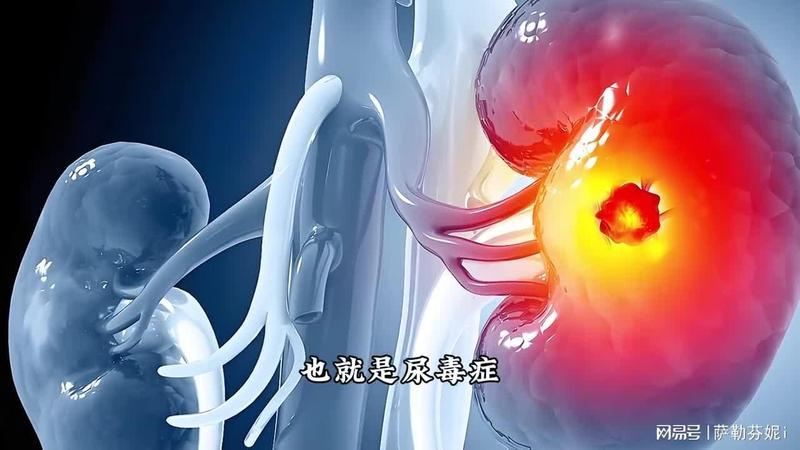 西医无药可用的肾病难题,赵志军埋头钻研近30载,熬出救肾良方
