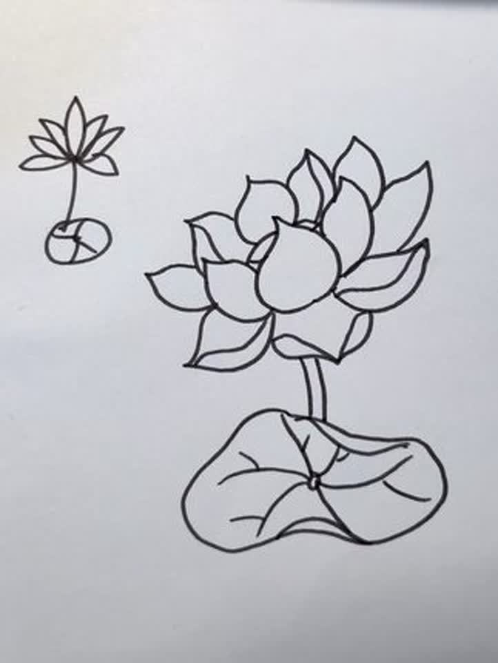 荷花简笔画#儿童简笔画 #夏天来了 #荷塘美景 #荷花 #荷花简笔画