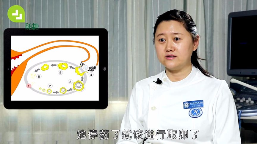 医生告诉你:试管婴儿手术,女性取卵要做哪些准备?