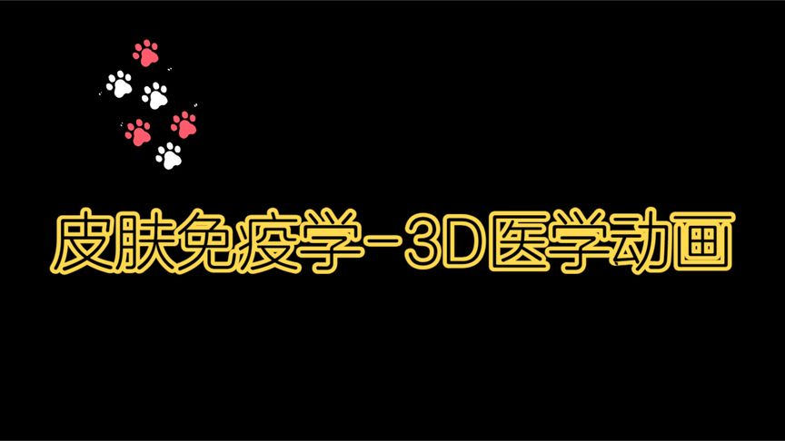 皮肤免疫学-3D医学动画