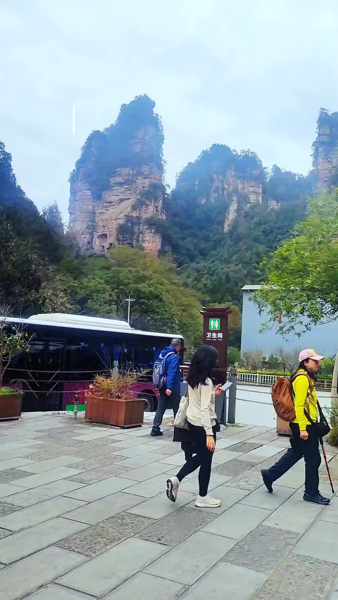 张家界森林公园毎天都有那么多游客,世界顶级风景区。