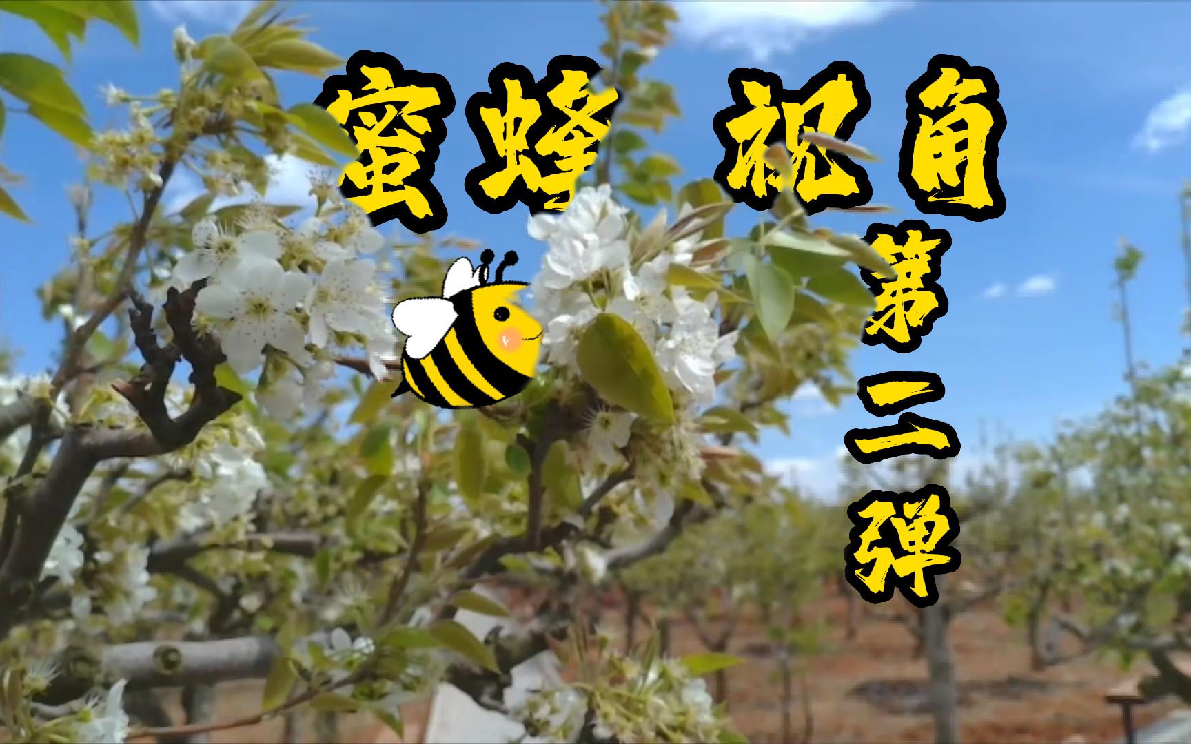 开平行眼 | 进入蜜蜂模拟器【第二弹】嗅了梨花蜜