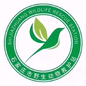 野生动物救护员阿章 