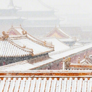 韩酱看剧 