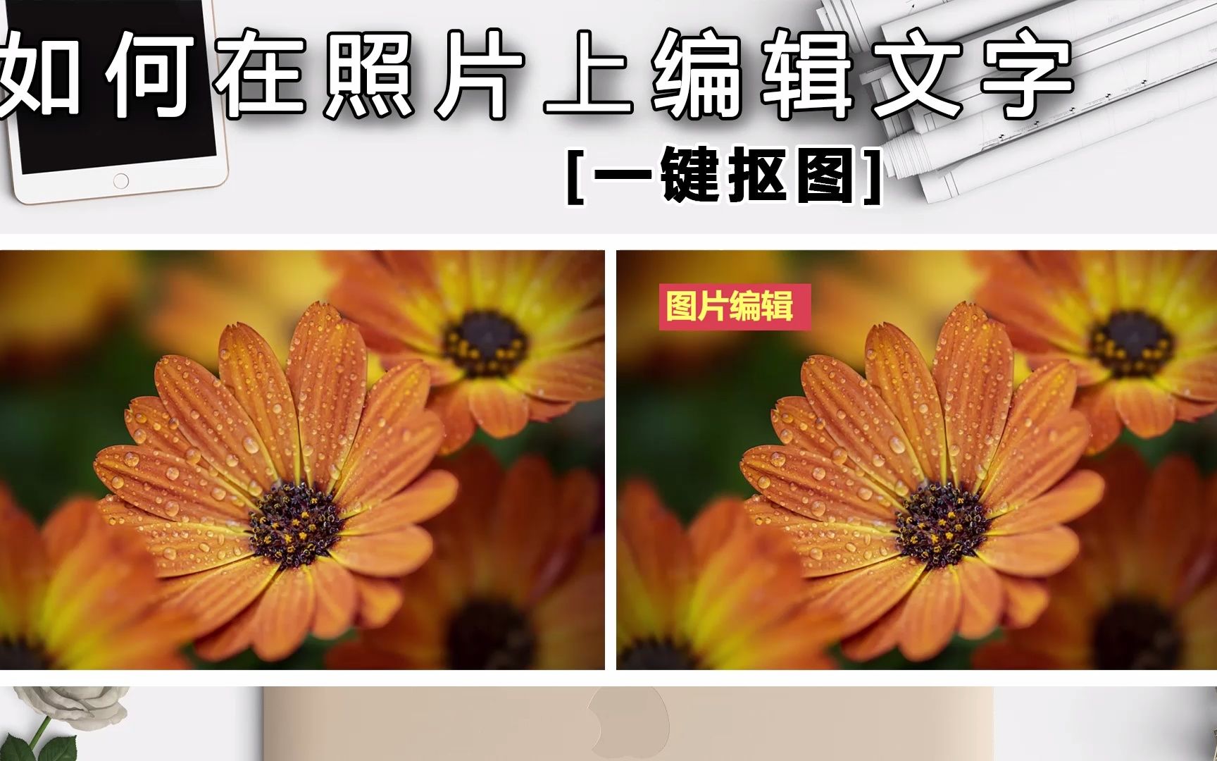怎样在照片上编辑文字