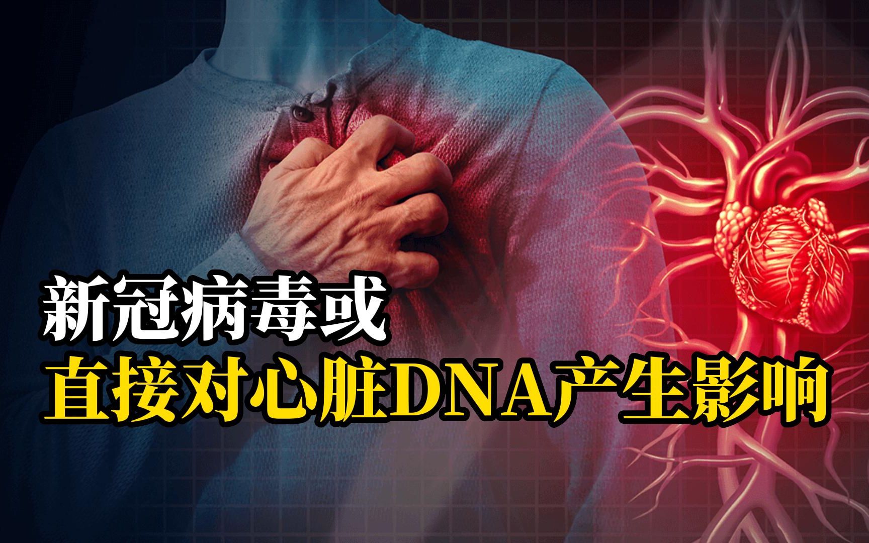 研究人员:新冠病毒或直接对心脏DNA产生影响