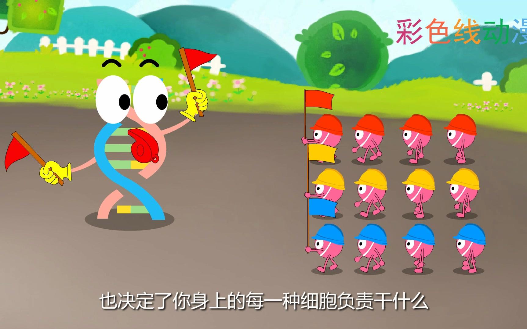 【彩色线科普动画】:什么是DNA?