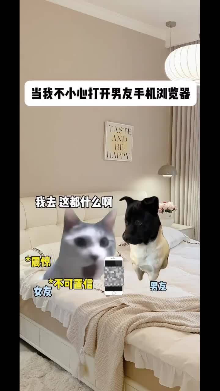 搞笑:当我不小心打开男友手机浏览器