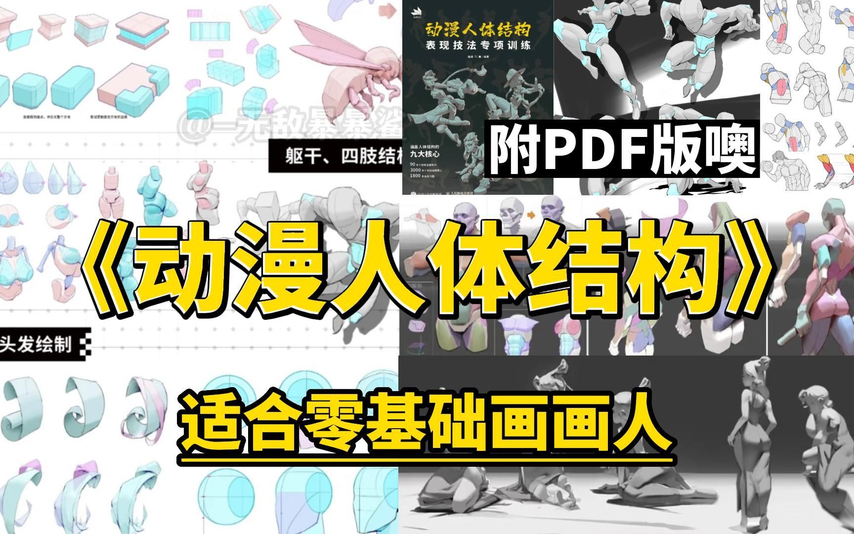 分享适合新手的动漫人体结构表现技法专项训练.pdf