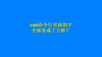 打开CAD软件,发现cad命令行里面的字,全部显示成了方框怎么办?