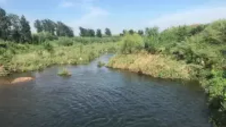 劲途户外路亚竿纺车轮使用方法抛投马口竿白条标点新手注意教程