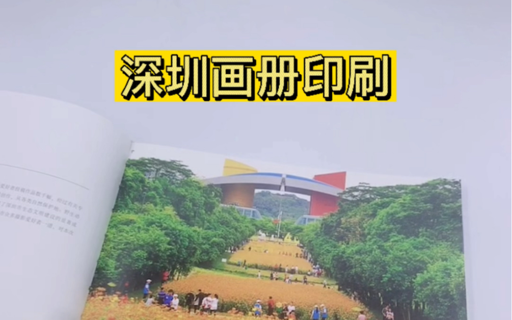 软面精装书印刷 深圳画册印刷厂 书籍印刷公司 假精装宣传册印刷