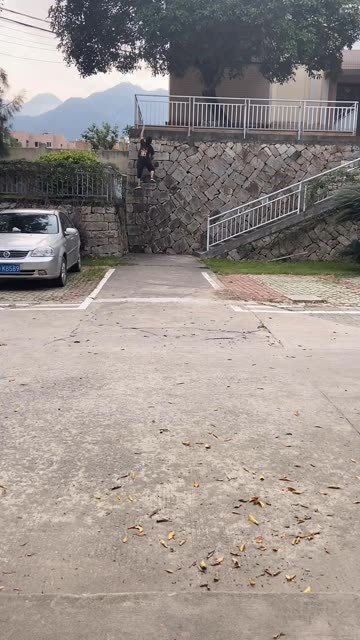 勇于拼搏,实现心中目标