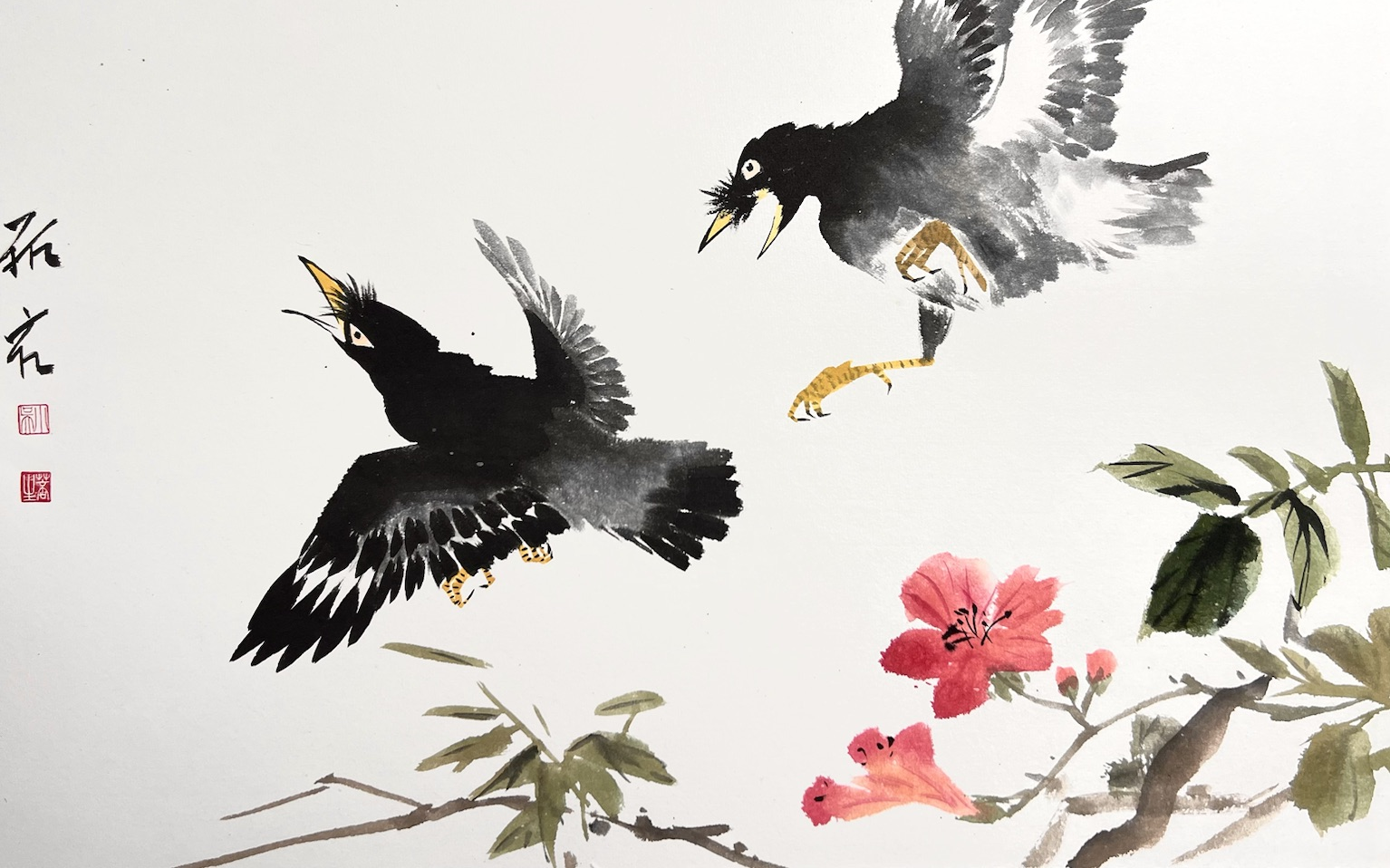 【国画精讲】美院老师精讲凌霄花、八哥画法,初学者也能轻松上手