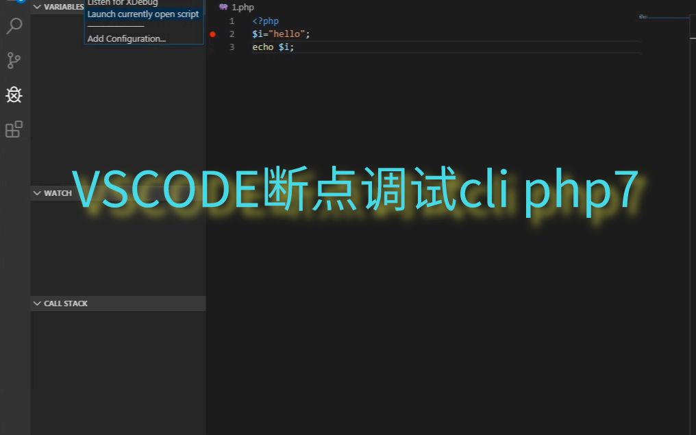 用vscode调试php cli代码