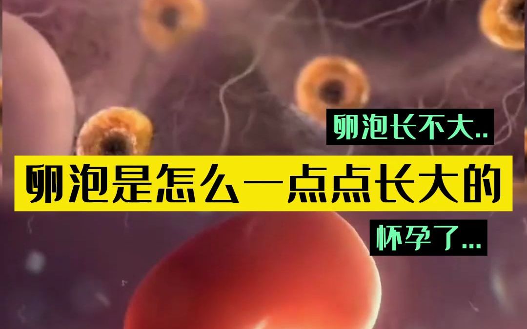 多囊不孕