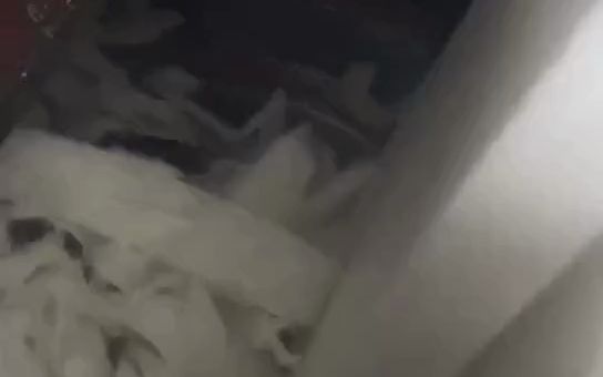 珍珠棉造粒机 废旧EPE废料回收再生颗粒机