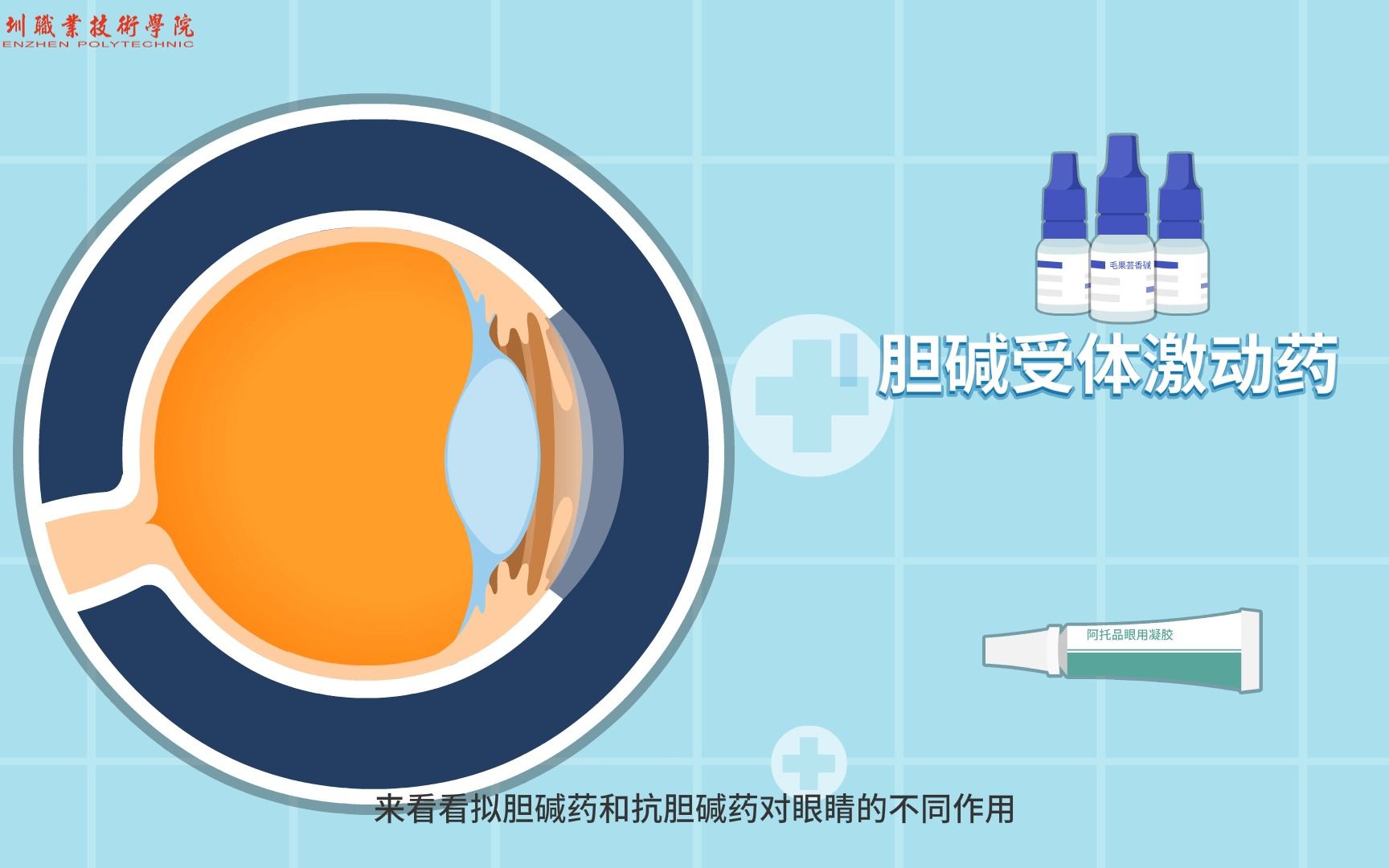 M胆碱受体激动药与阻断药