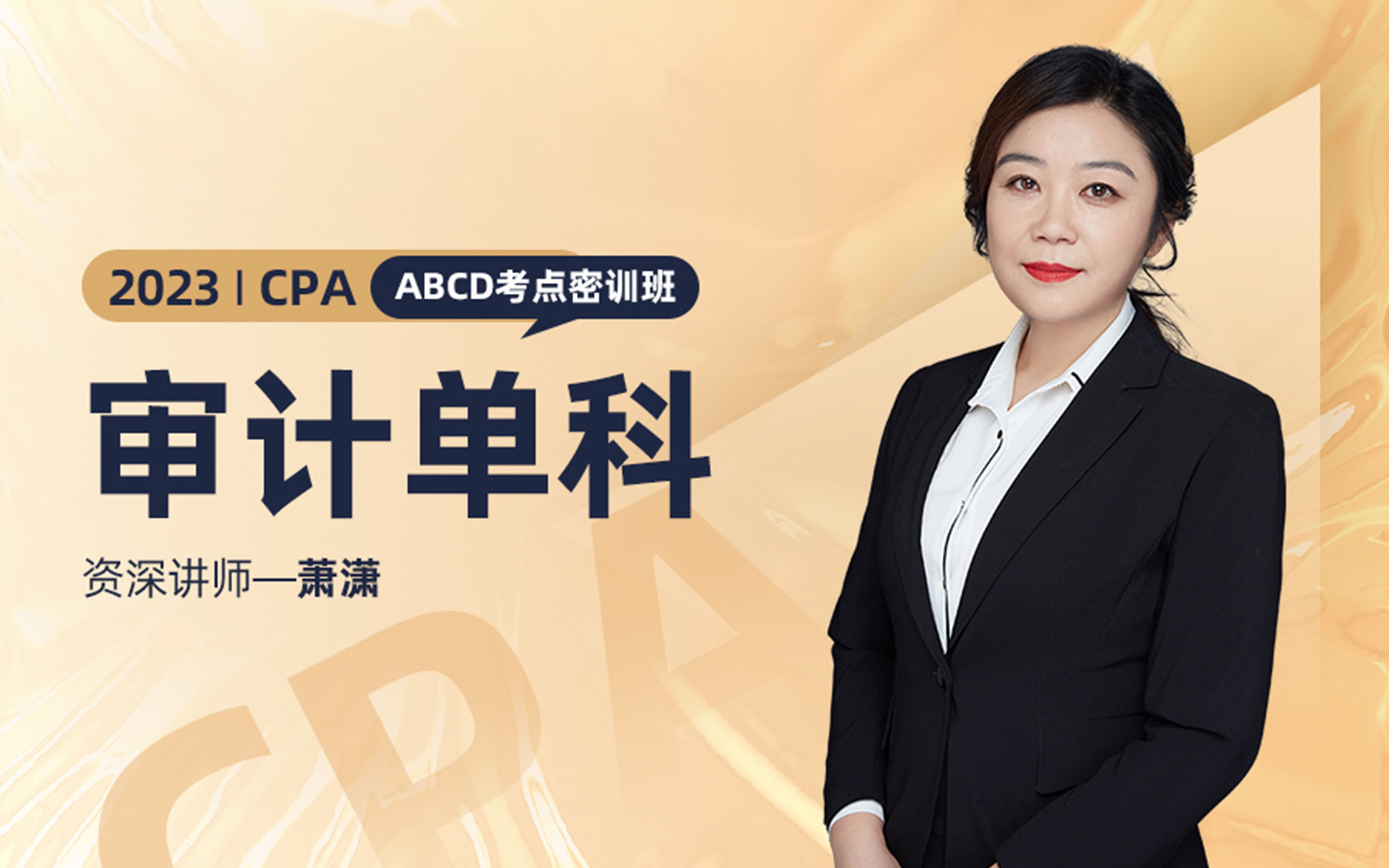 2023年注会《审计》第一章 审计概述(1)