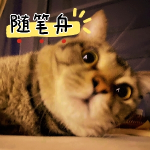 随笔舟 