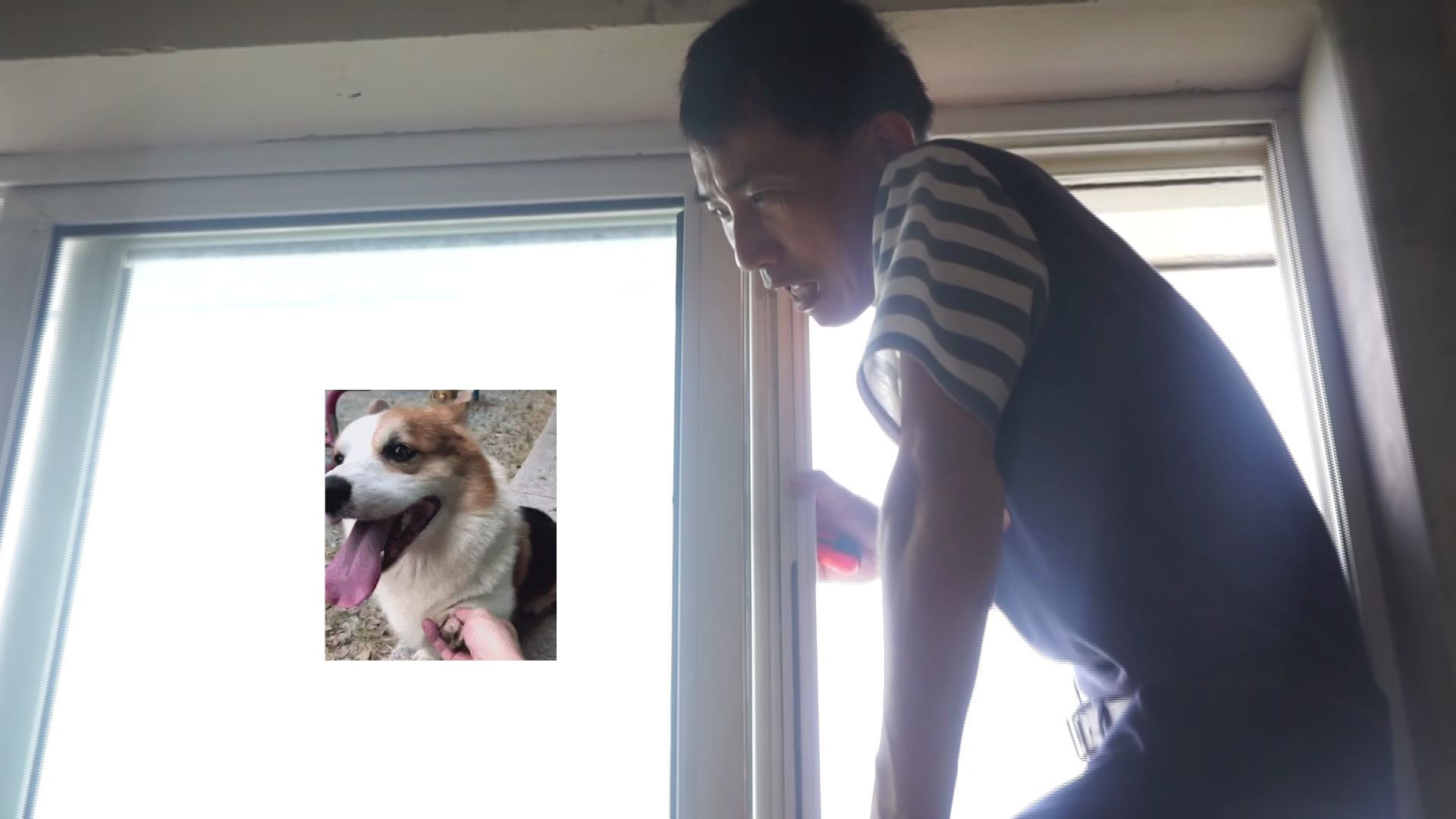 更换窗户的滑轮（丝滑顺畅开关窗享受