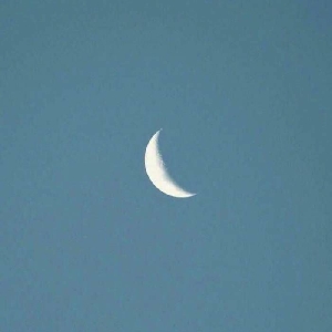 昨夜在梦里 