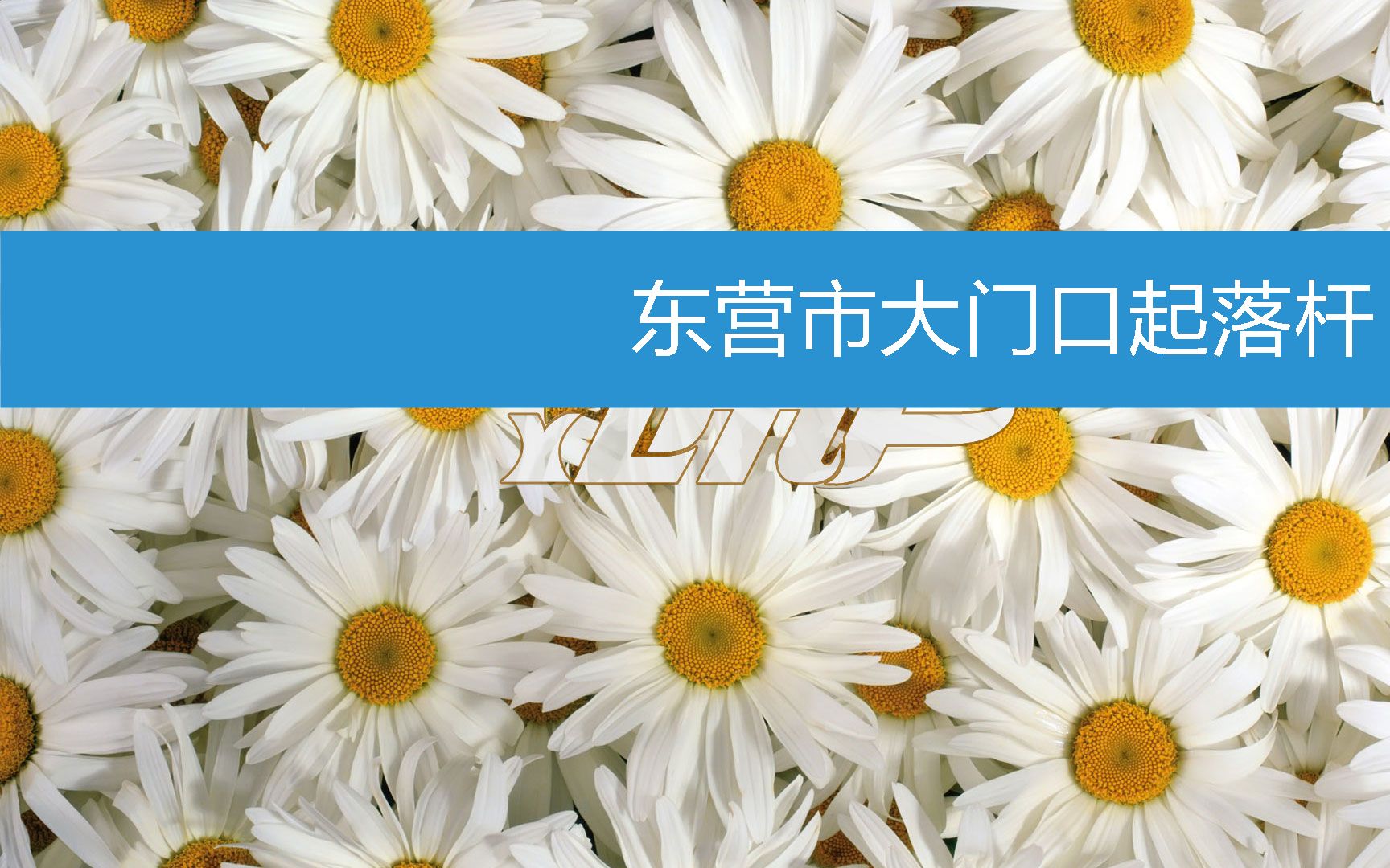 东营市大门口起落杆 (2023年3月5日13时32分57秒已更新)