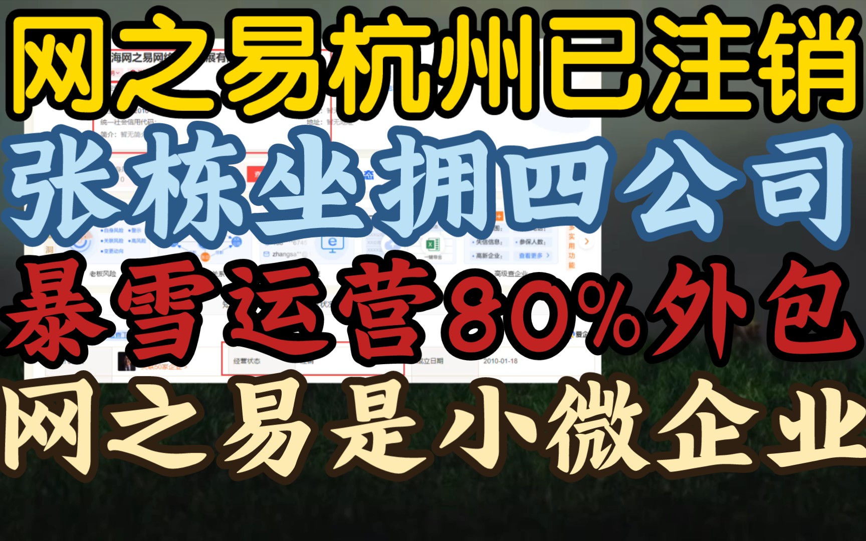 【网之易杭州分公司已注销,张栋是四家公司法人不会失业】《上海网...