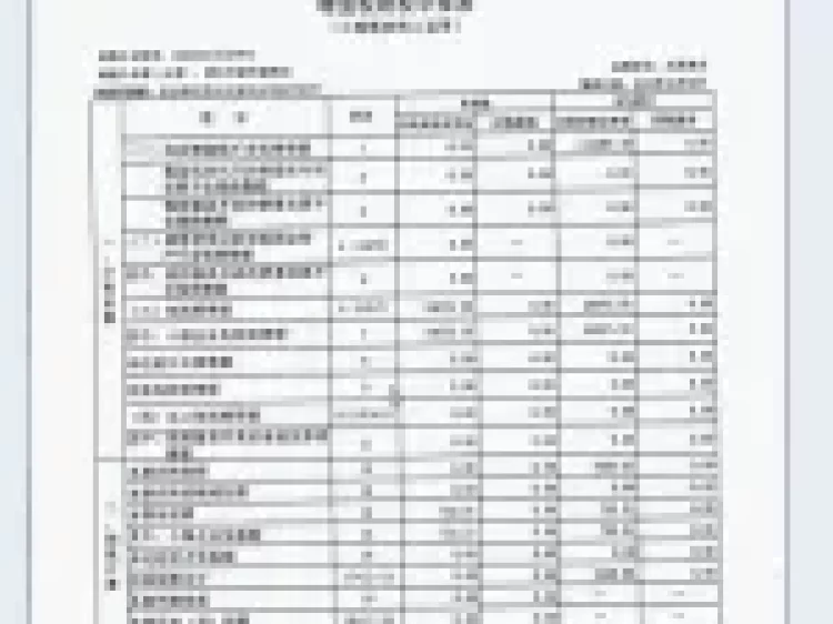 小规模纳税人报税教程