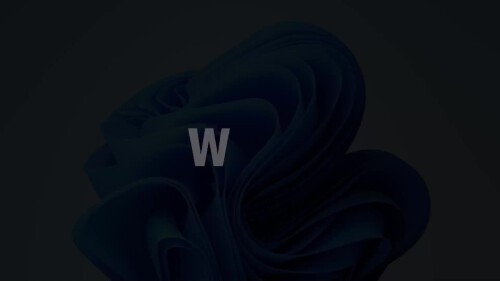 WIN11使用技巧