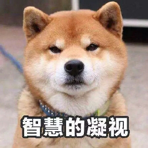 驱魔的小信笺 